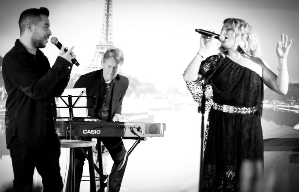 Artist Mentoring - Music Promotion - Platinum Artist Development